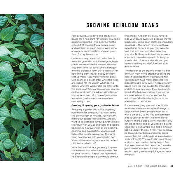 The Rancho Gordo Heirloom Bean Guide – Genesis Kitchen